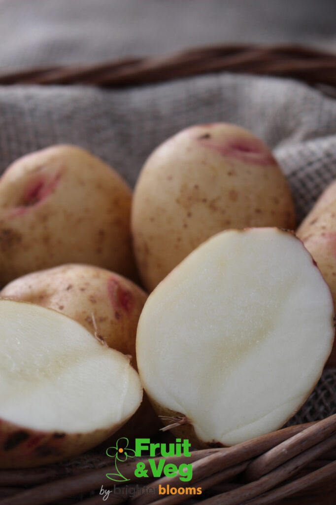 Seed Potato Cara - Grow Veg & Fruit by Brighter Blooms