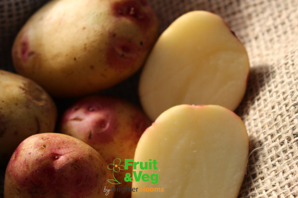 Seed Potato Picasso - Grow Veg & Fruit by Brighter Blooms