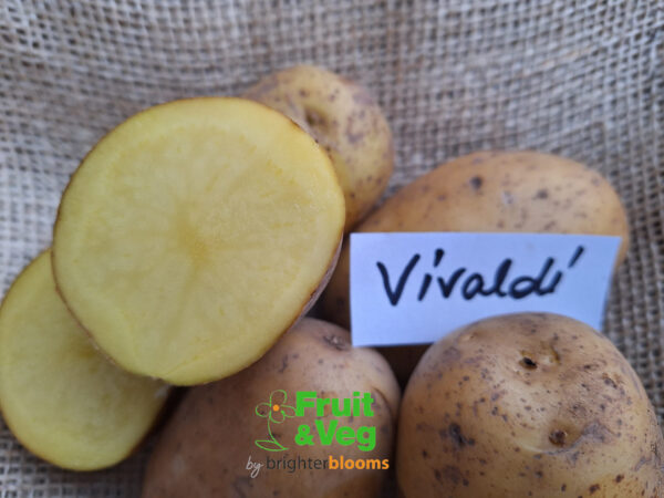 Seed Potato Vivaldi - Grow Veg & Fruit by Brighter Blooms